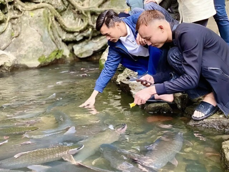 Kỳ lạ suối cá hàng nghìn con nhưng chẳng ai dám câu, lại trở thành điểm ...