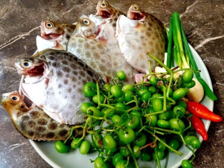 Loài cá có tên lạ xưa từng bị lãng quên, nay thành đặc sản nổi tiếng ở ...